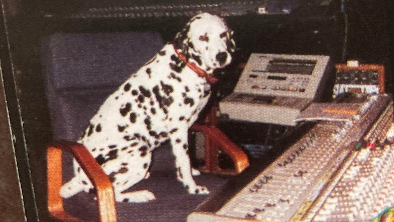 What Happened To Lou Dog From Sublime