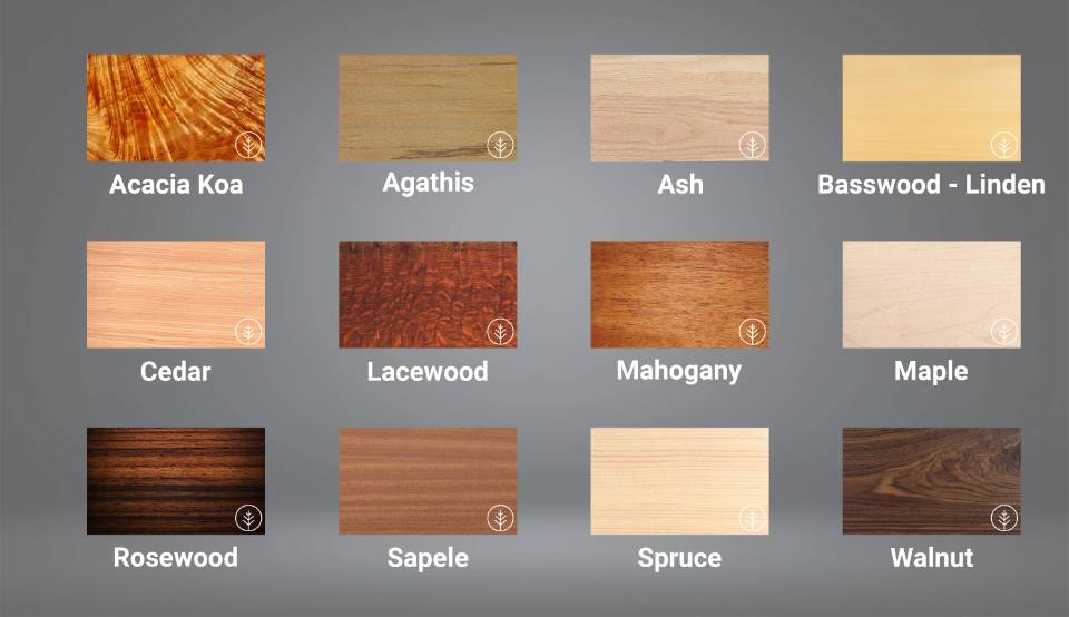 [Opinion] How Important The Wood Is For Electric Guitar? | Ultimate Guitar