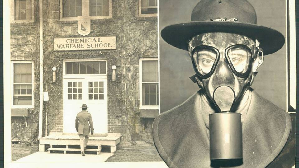 Was the US Government Responsible for the Death of Frank Zappa ...