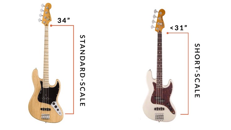 What's the Difference Between a Guitar and a Bass? It's Not as Simple ...