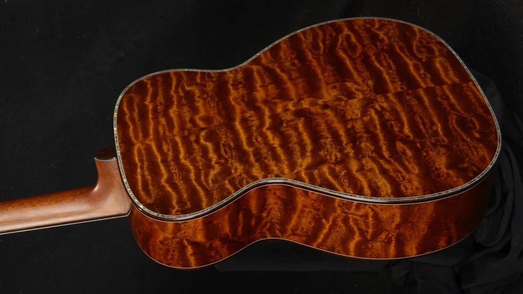 Slash Said 'It Changed Everything': How One 500-Year-Old Tree Became ...