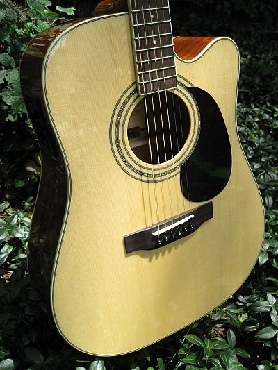 ZAD50CE Review: Almost 44 years of play time on me. | Zager | Acoustic ...