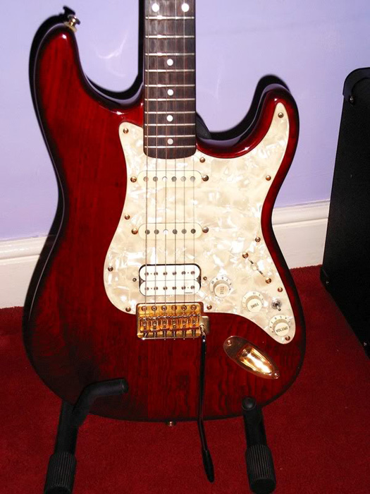 Pro-Tone Stratocaster Review: This is what I needed and finally ...