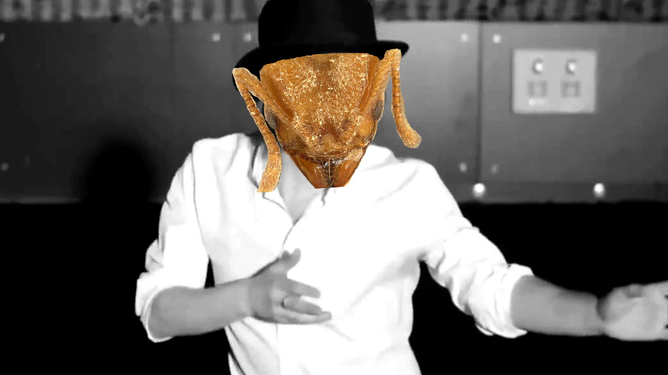 New Ant Species Named After Radiohead | Ultimate Guitar