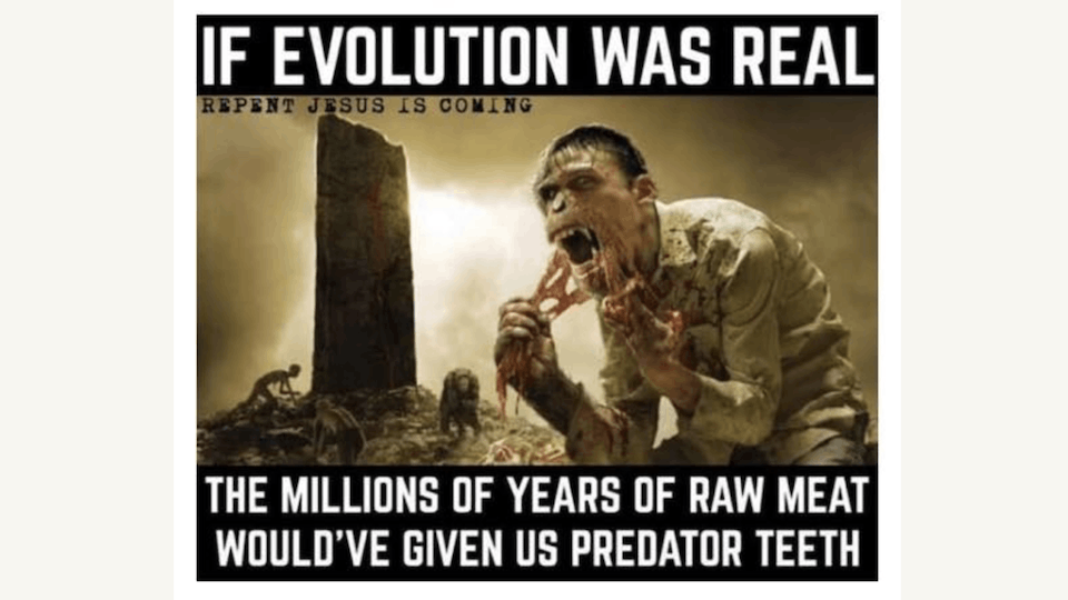 Christian Fundamentalist Group Uses Cattle Decapitation Artwork for ...