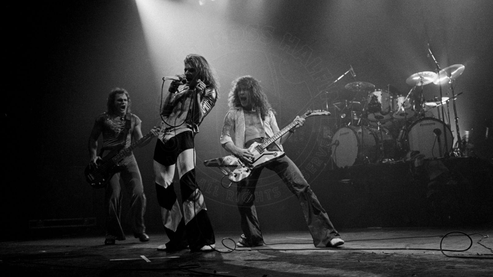 'Like Jimi Hendrix From Another Universe': This Is What Van Halen Was ...