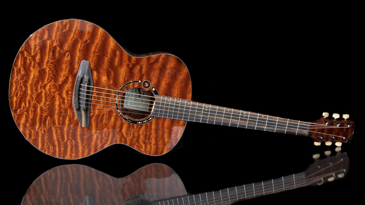 Slash Said 'It Changed Everything': How One 500-Year-Old Tree Became ...