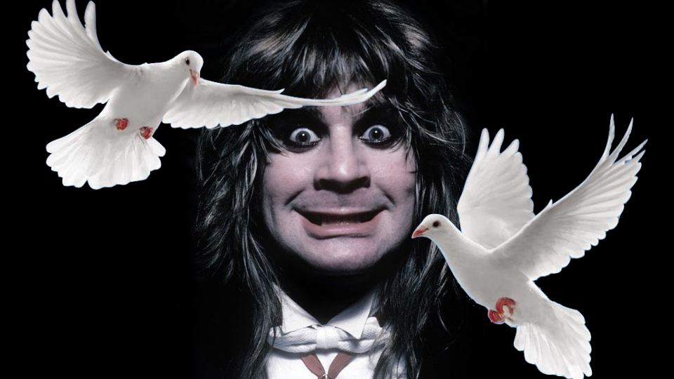 Ozzy Osbourne Pigeon