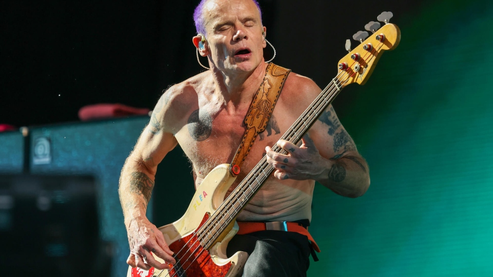 Flea Bassist Back To The Future