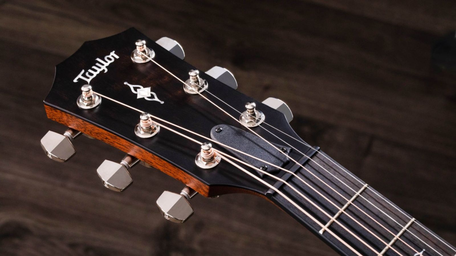 5 Facts About Taylor Guitars You May Have Not Known | Ultimate Guitar