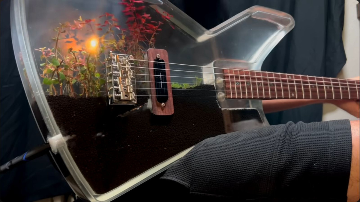 This Luthier Built a Fully Functioning Aquarium Electric Guitar ...