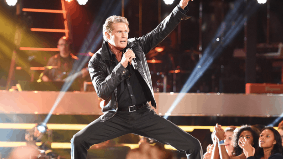David Hasselhoff Will Have Ministry's Al Jourgensen and Original GN'R ...