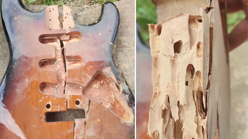 This Is the Damage Worms Can Do to Your Guitars, Here's How to Keep ...