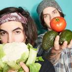 CHON Share Second Studio Video For Upcoming ‘Homey’ Album | Ultimate Guitar