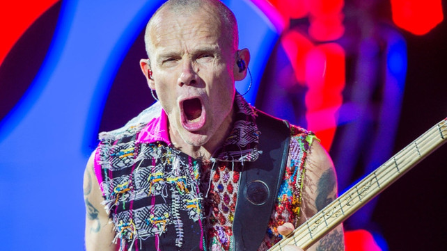 Flea Reveals Why He Doesn't Like Taking Photos With Fans, Calls It 'A ...