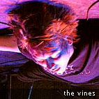 Vines Break Down? | Ultimate Guitar