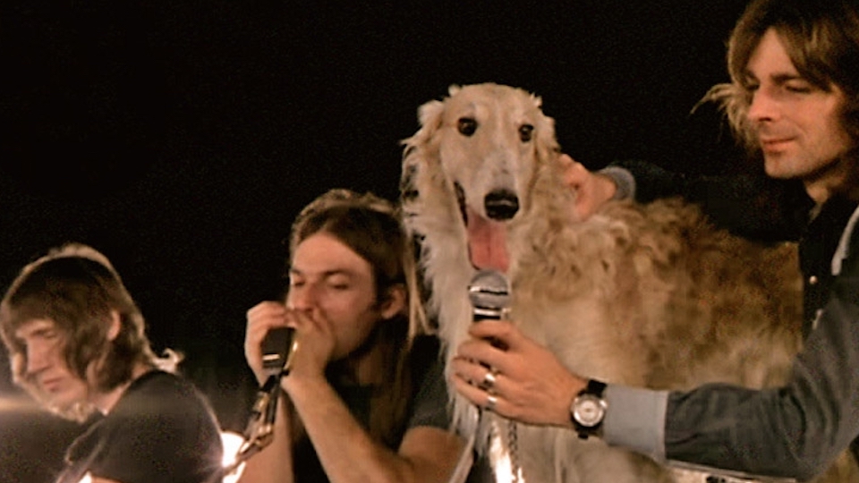 Dog Tales: 13 Times Dogs Worked Their Way Into Rock & Roll History ...