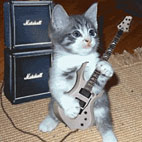 Metal Cats Book Sees Metal Musicians Pose With Their Pets | Ultimate Guitar
