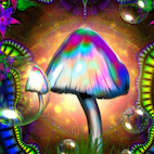 Experiment: This Is What You Get When You Play Guitar High on Magic ...