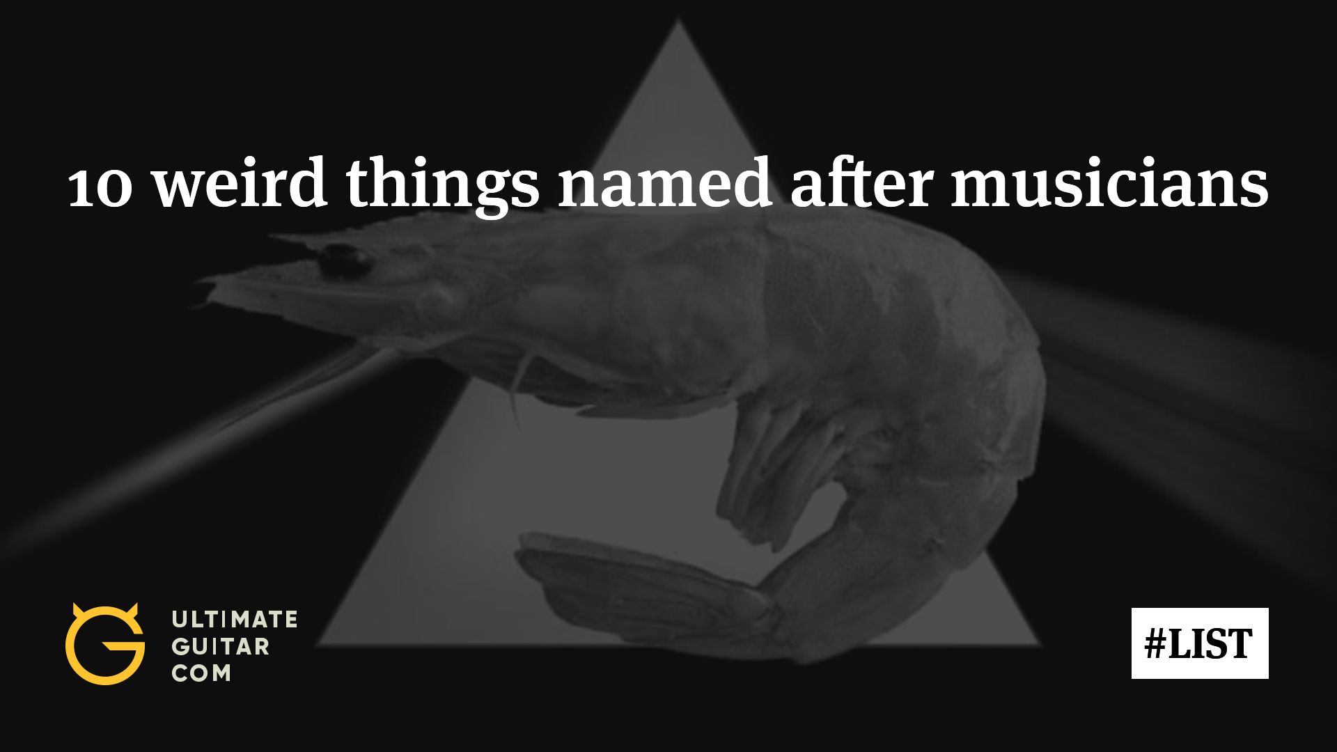 10 Weird Things Named After Musicians | Articles @ Ultimate-Guitar.Com ...