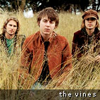 Vines Perform Again | Ultimate Guitar