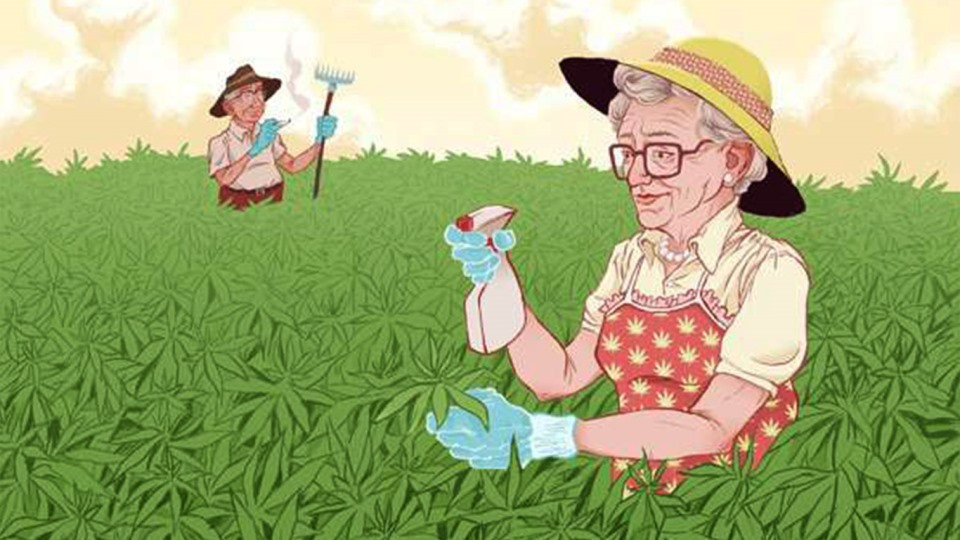 Top 10 Rock and Metal Songs About Weed | Ultimate Guitar