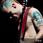 Flea For 'We The Planet' | Music News @ Ultimate-Guitar.Com