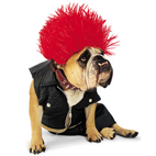 Rockin' Pets: 16 Rockstars and Their Pets | Ultimate Guitar