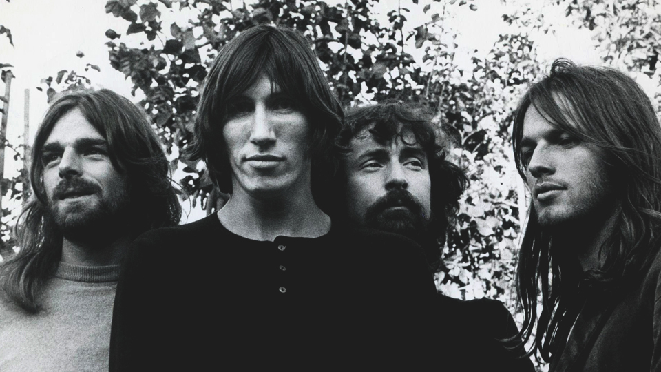 Progressive rock artists store