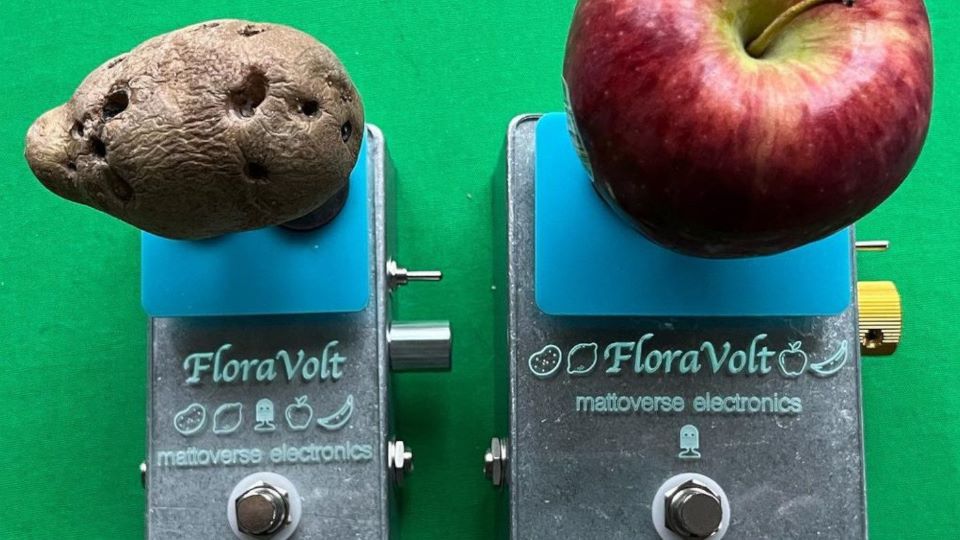WTF: There Are Now Fruit-Powered Guitar Pedals | Ultimate Guitar