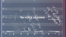 Music Theory by Solo Ray @ Ultimate-Guitar.Com