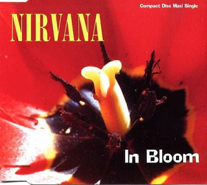 BLEW TAB by Nirvana @ Ultimate-Guitar.Com