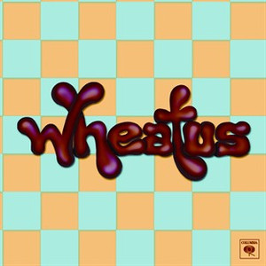 TEENAGE DIRTBAG CHORDS (ver 2) by Wheatus @ Ultimate-Guitar.Com