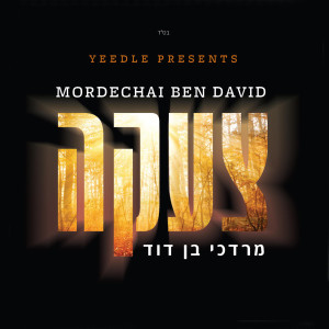SHIRU LAMELECH CHORDS by MBD @ Ultimate-Guitar.Com