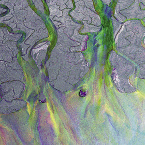 BLOODFLOOD TAB by Alt-J @ Ultimate-Guitar.Com