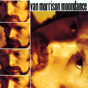WILD NIGHT CHORDS by Van Morrison @ Ultimate-Guitar.Com